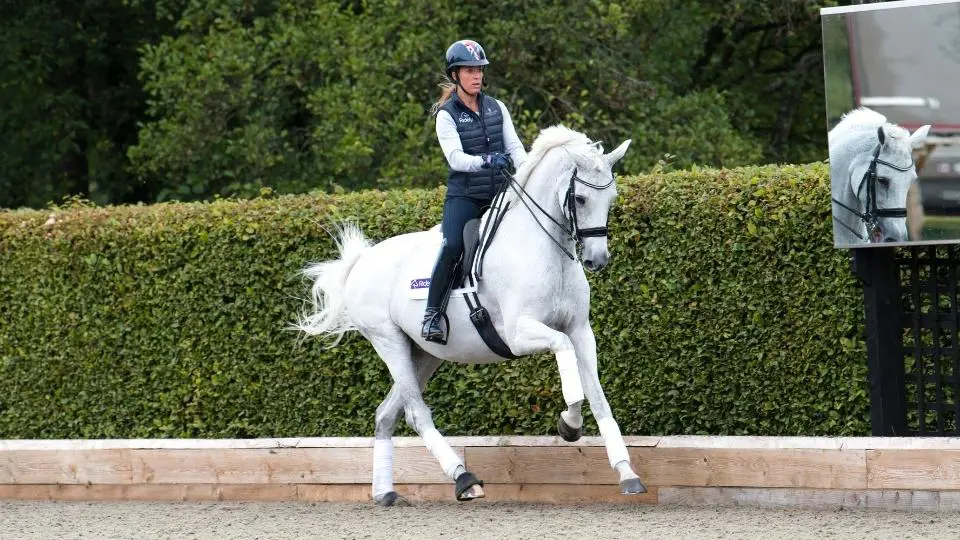 Ride the Perfect Extended Canter | Ridely