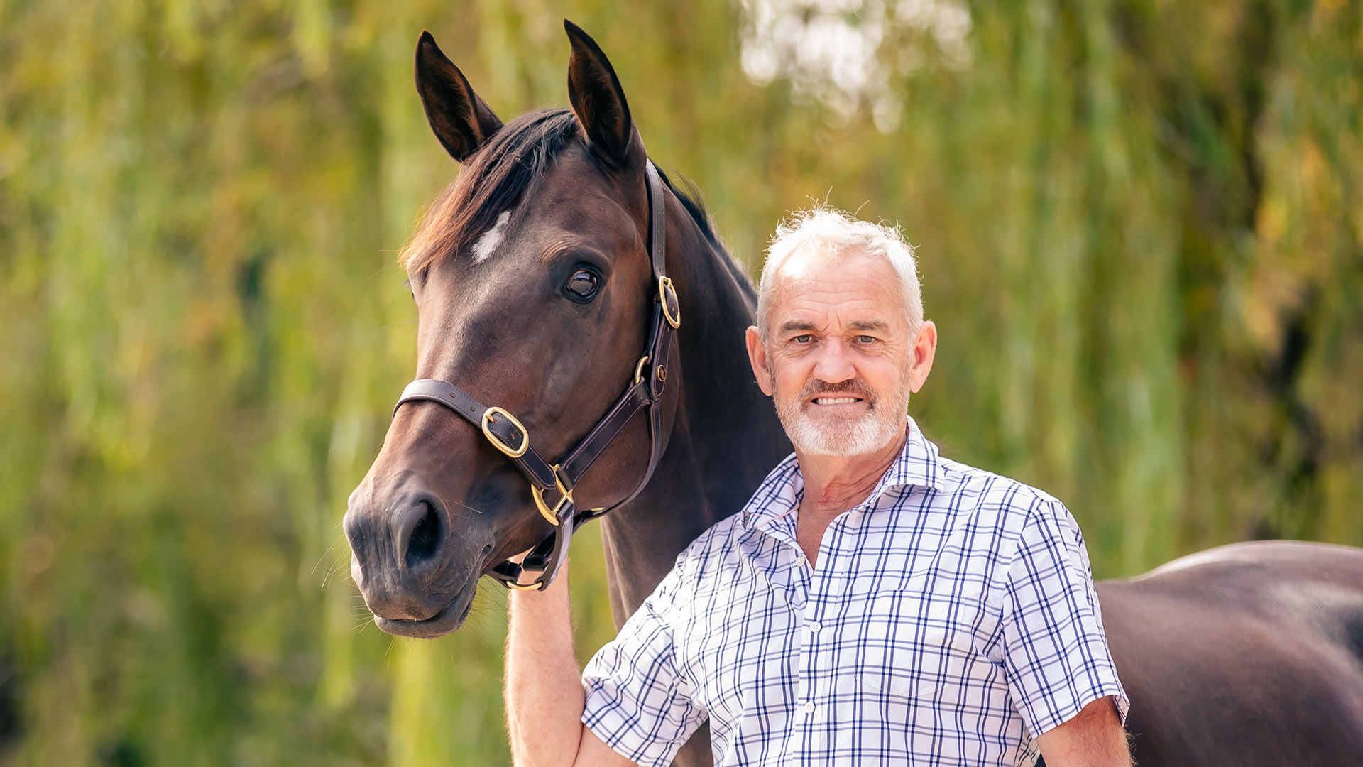 Introduction to Equitation Science | Ridely