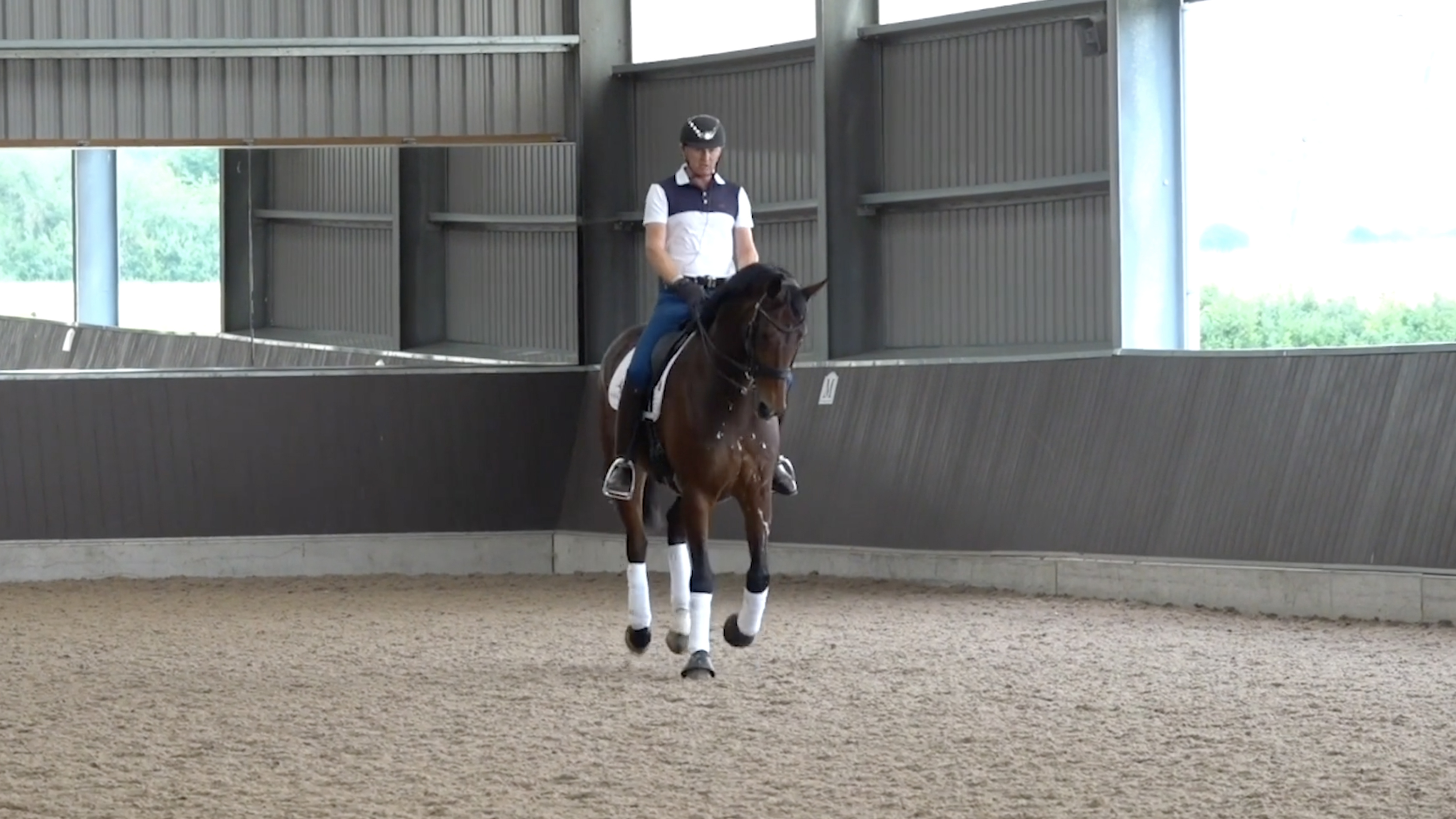 Learn to Master the Flying Change | Ridely