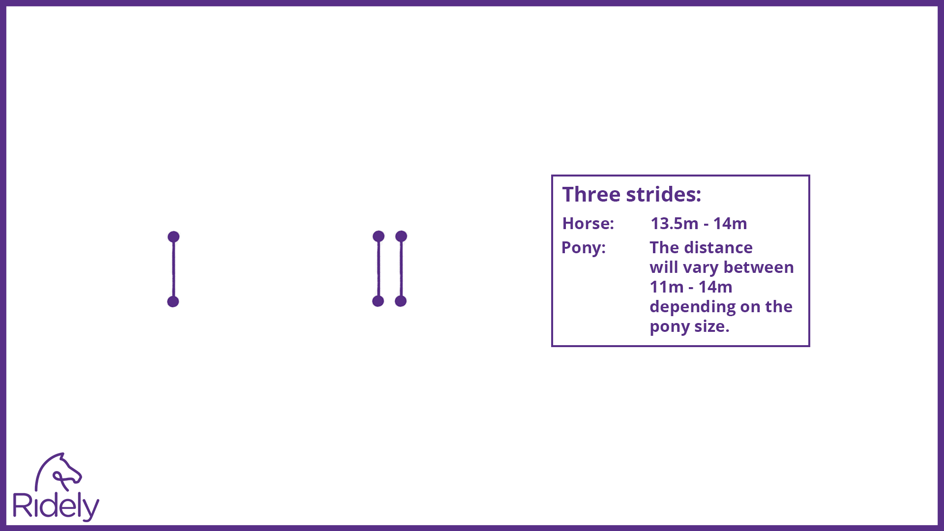 Equestrian Training Videos & Riding Exercises | Ridely