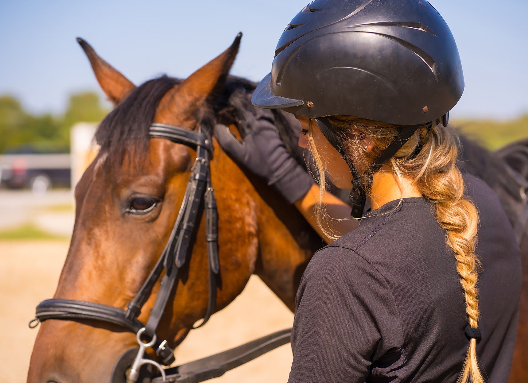 Understanding Ridden Horse Behaviour | Ridely